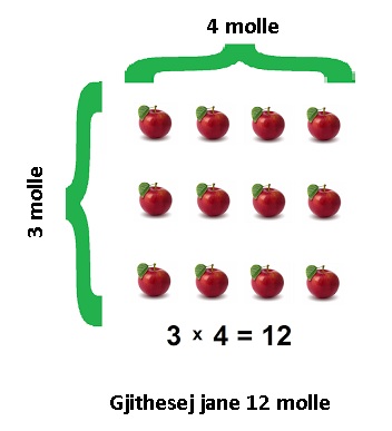 Tabela e shumezimit | Matematika | Detyra.al