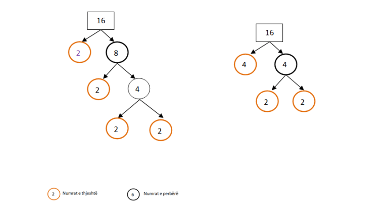 Shumefishat, shumefishat e perbashket, Pjestuesit | Detyra.al