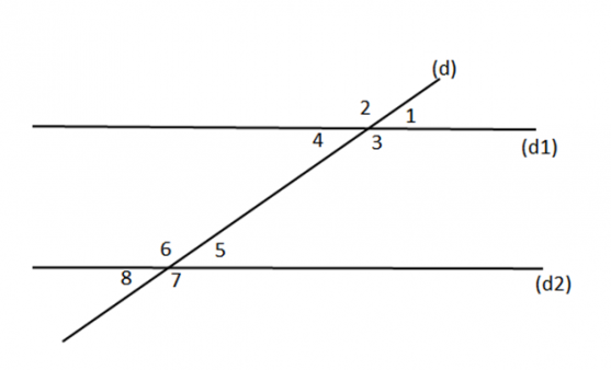 Kende dhe drejteza | Kende te kundert ne kulm| Matematika 7 | Detyra.al