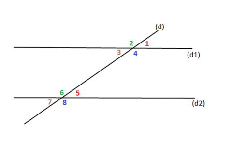 Kende dhe drejteza | Kende te kundert ne kulm| Matematika 7 | Detyra.al