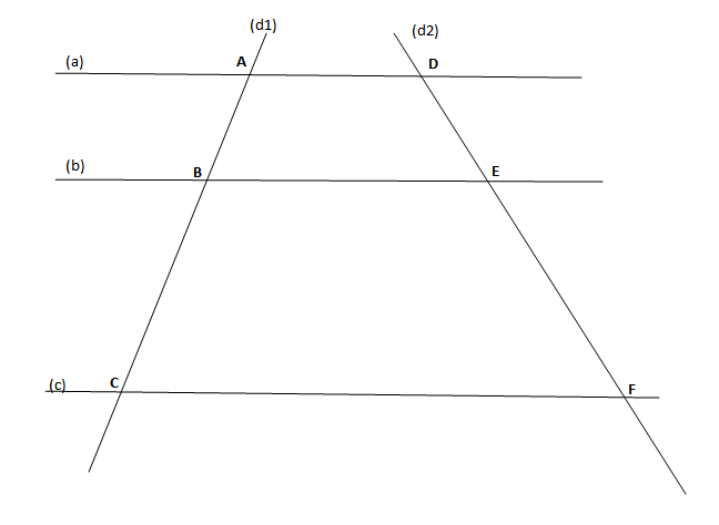Paralelogrami, drejtkendeshi, rombi, katrori | Teorema e Talesit | Detyra.al
