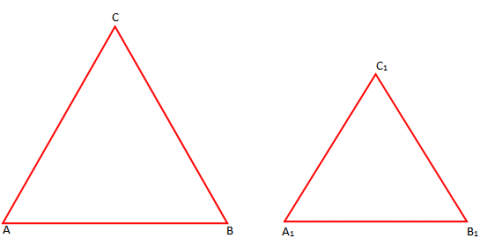 Trekendeshat e ngjashem | Matematika 9 |Detyra.Al