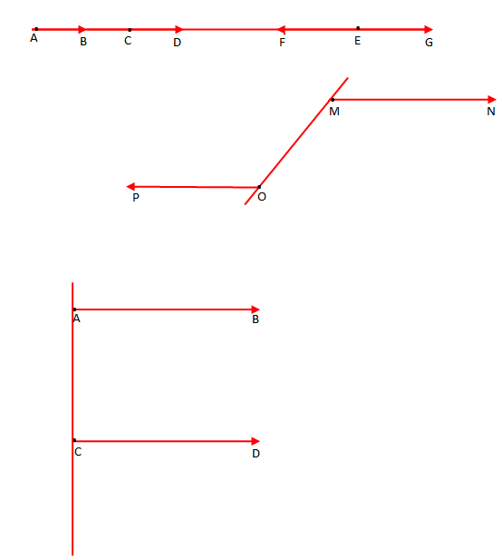 Kuptimi i vektorit. Vektor te barabarte dhe te kundert | Detyra.al