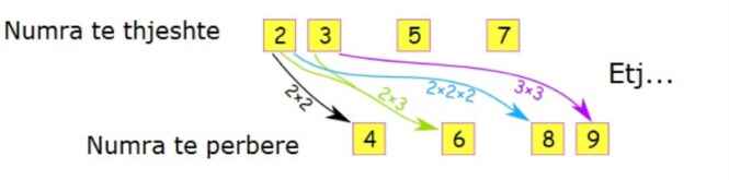 Numrat e Thjeshte | Matematika | Detyra.Al